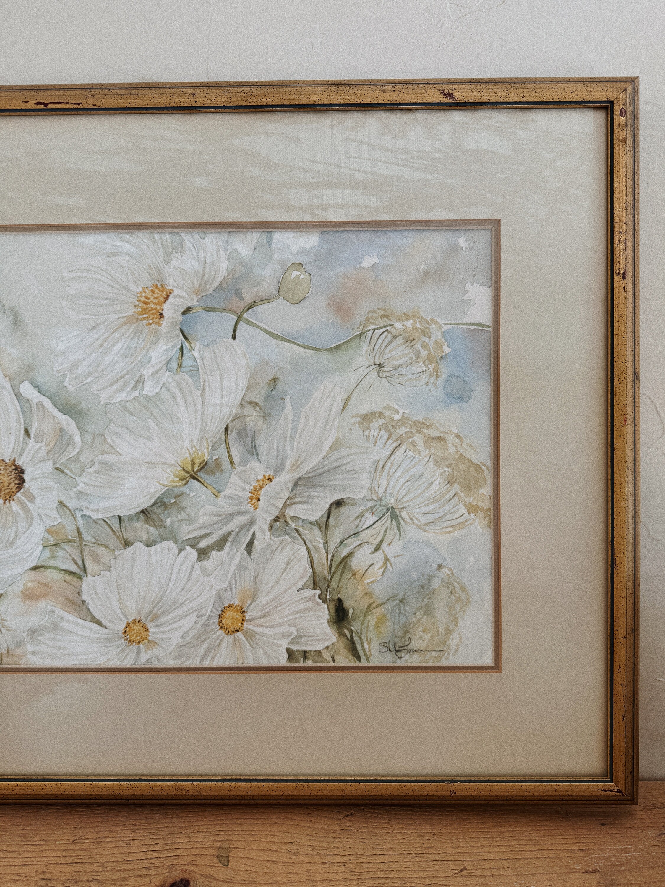 Soft White Cosmos Botanical Watercolor Art Print Cosmo Flower Wall ...