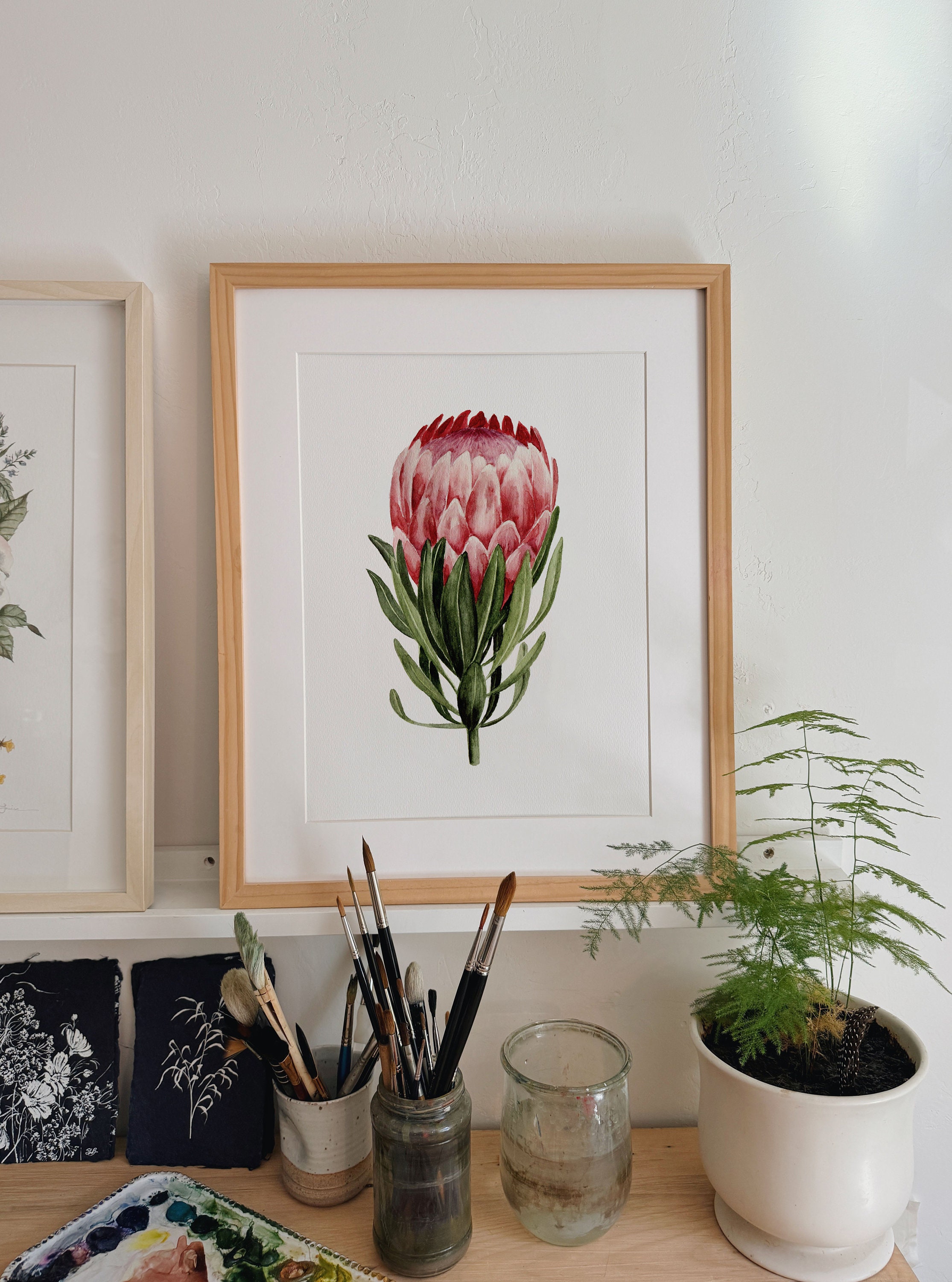 Pink Protea Watercolor print - Etsy