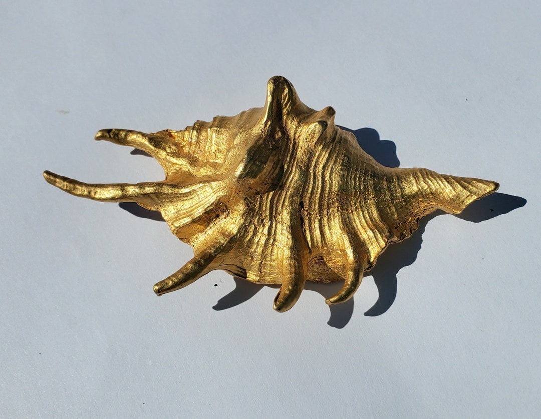 Spider Conch 2 Way Pendant/brooch - Etsy