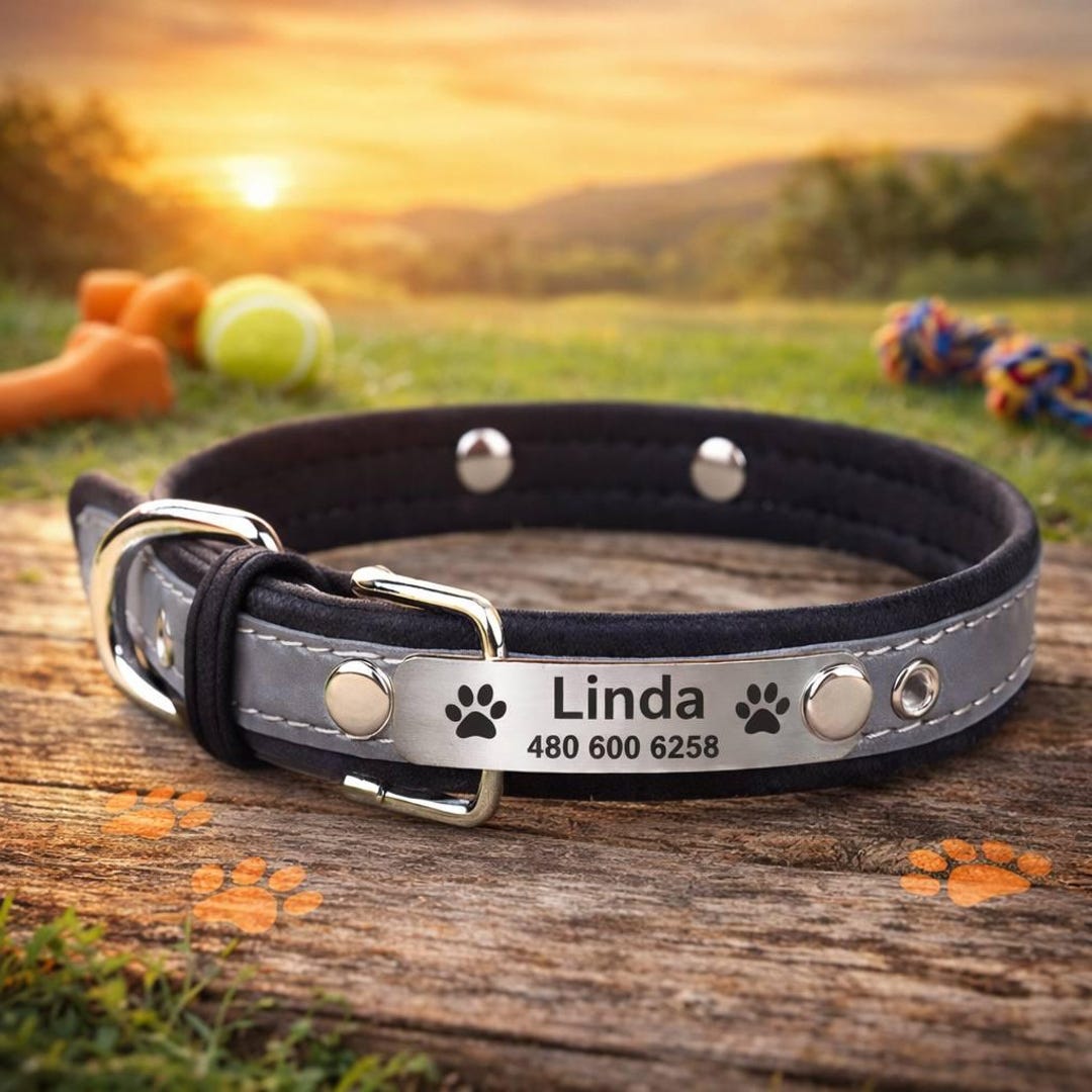 Personalized Reflective Dog Collar – Engraved ID Tag, Padded Eco ...
