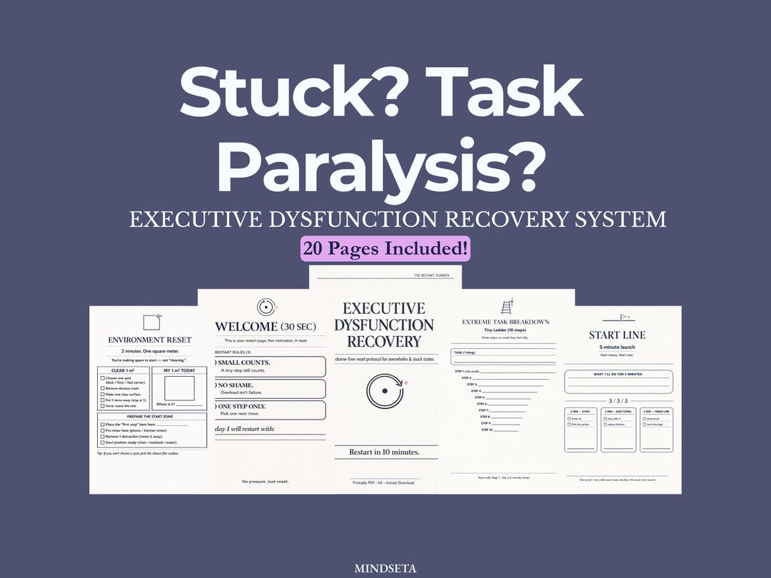 Executive Dysfunction Recovery System and Overwhelm Reset & Brain Fog ...