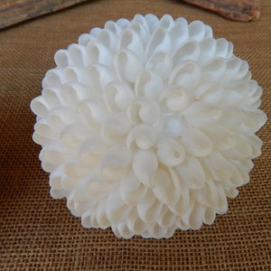 Vintage Large White Faux Sea Shell Orbs / Plastic Shell Orbs - Etsy