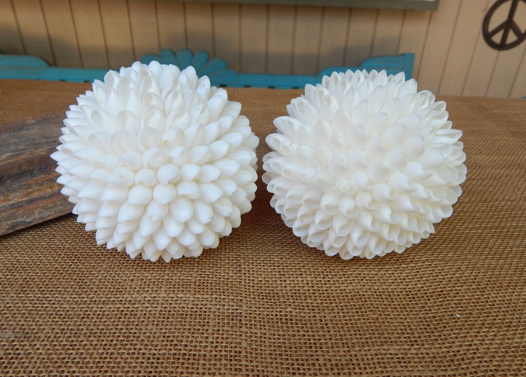 Vintage Large White Faux Sea Shell Orbs / Plastic Shell Orbs - Etsy