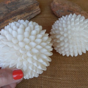 Vintage Large White Faux Sea Shell Orbs / Plastic Shell Orbs - Etsy