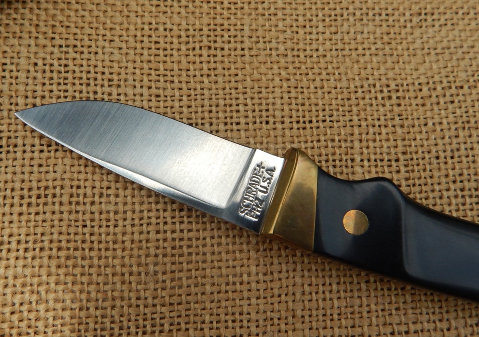 Schrade PH2 Pro Hunter Knife / New in Box Schrade PH2 Pro | Etsy