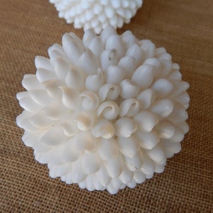 Vintage Large White Faux Sea Shell Orbs / Plastic Shell Orbs - Etsy