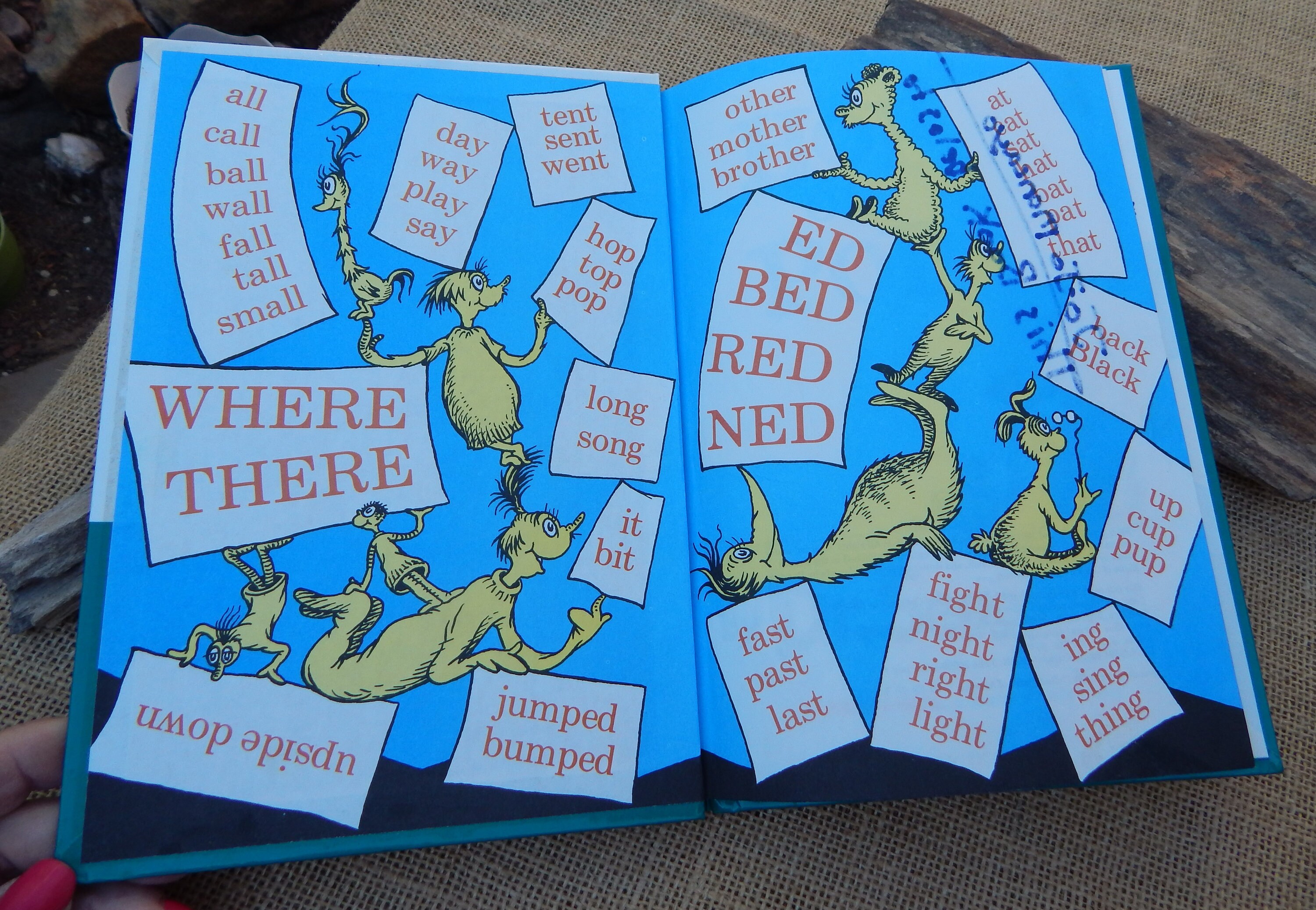 Hop on Pop by Dr. Seuss / Hop on Pop / Dr. Seuss Book / the - Etsy