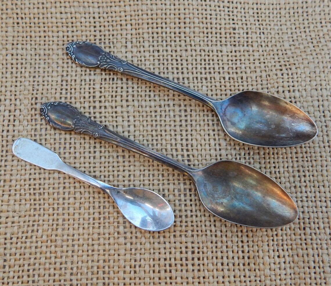 Wm Rogers AA Oneida Ltd Silver Plated Spoons / Small Wm | Etsy