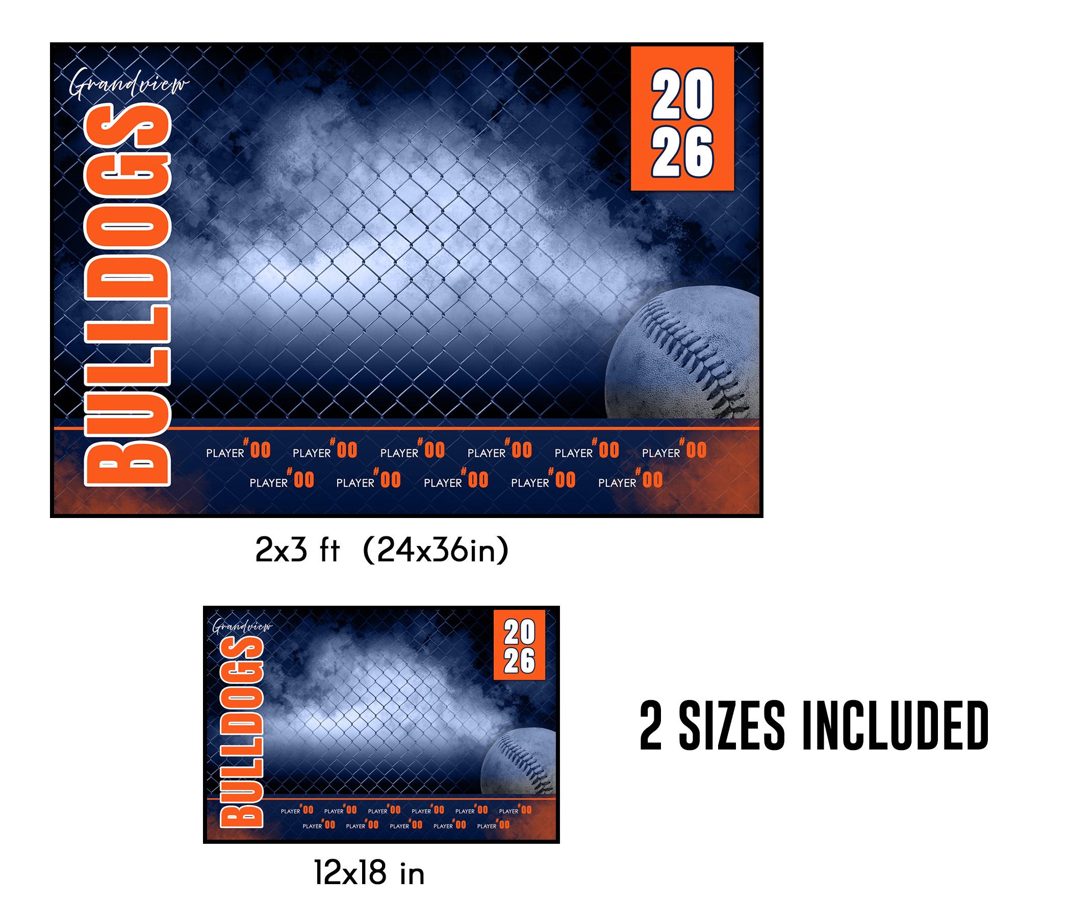 Baseball Banner & Poster Template 019H: 2x3ft, 12x18" Photoshop PSD ...