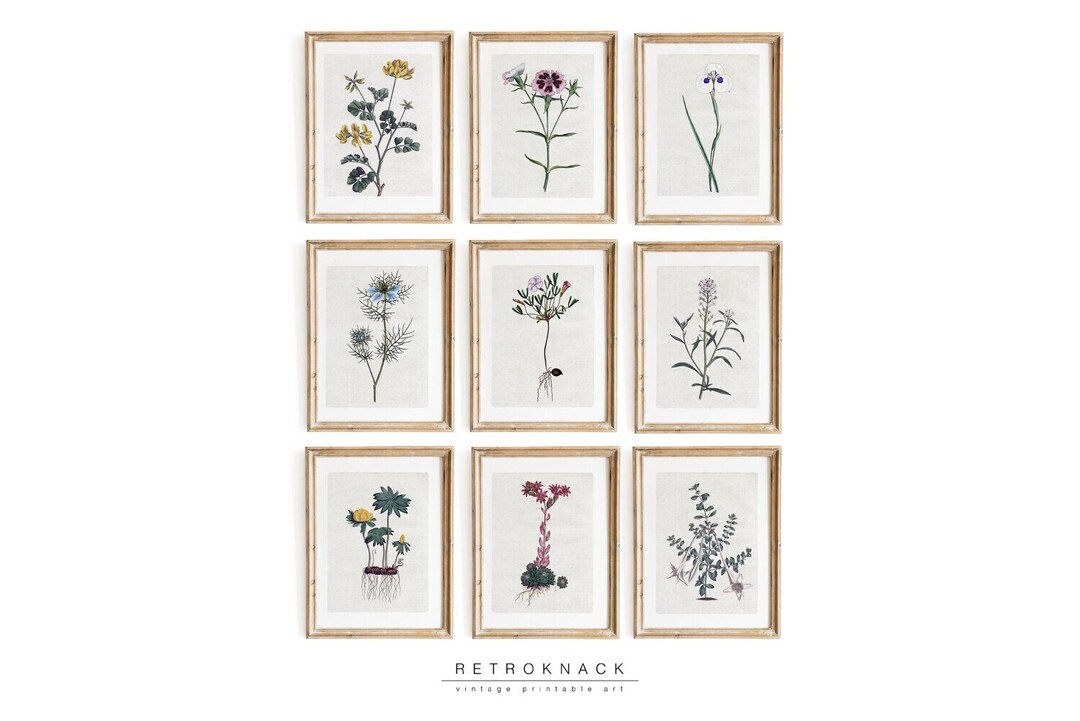 9 Botanical Prints Flowers, Gallery Wall SET | PRINTABLE Wall Art ...