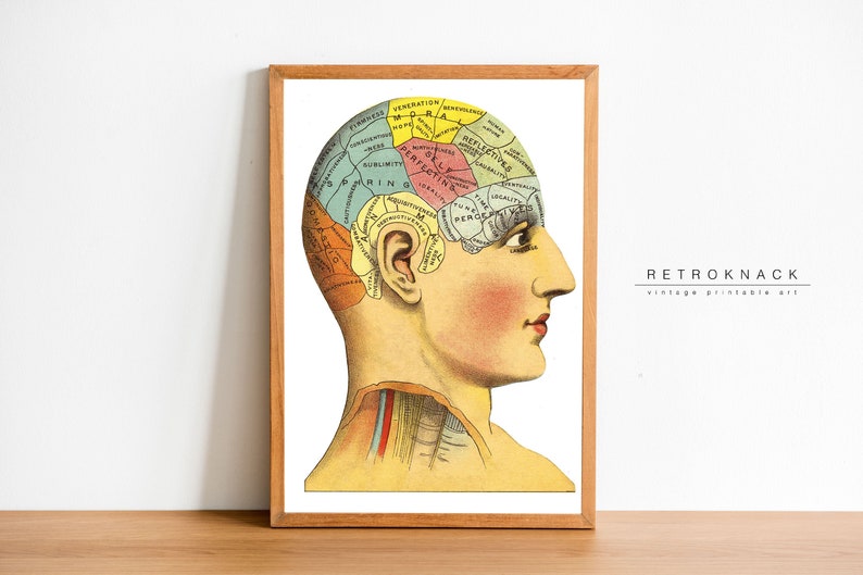 Antique PHRENOLOGY Print, HEAD | Printable Wall Art Science of the Mind ...