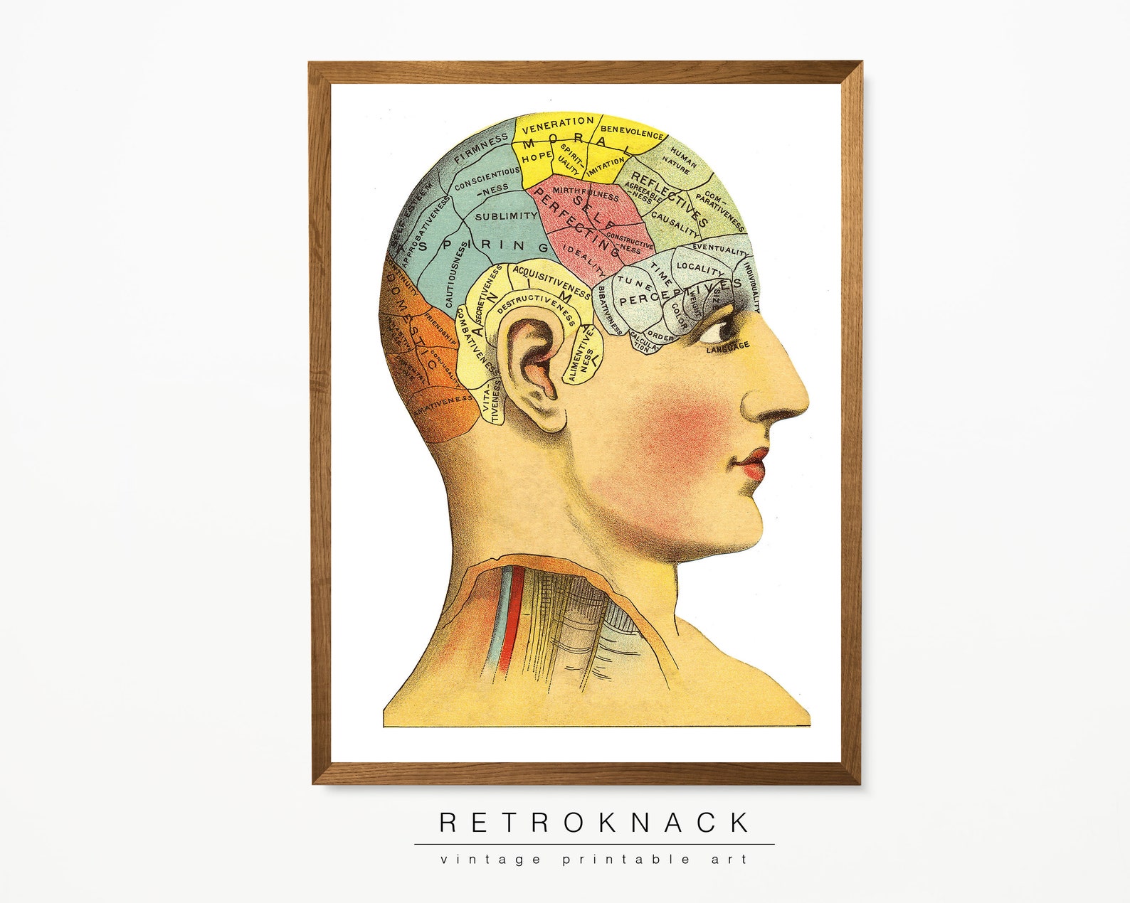 Antique PHRENOLOGY Print, HEAD | Printable Wall Art Science of the Mind ...