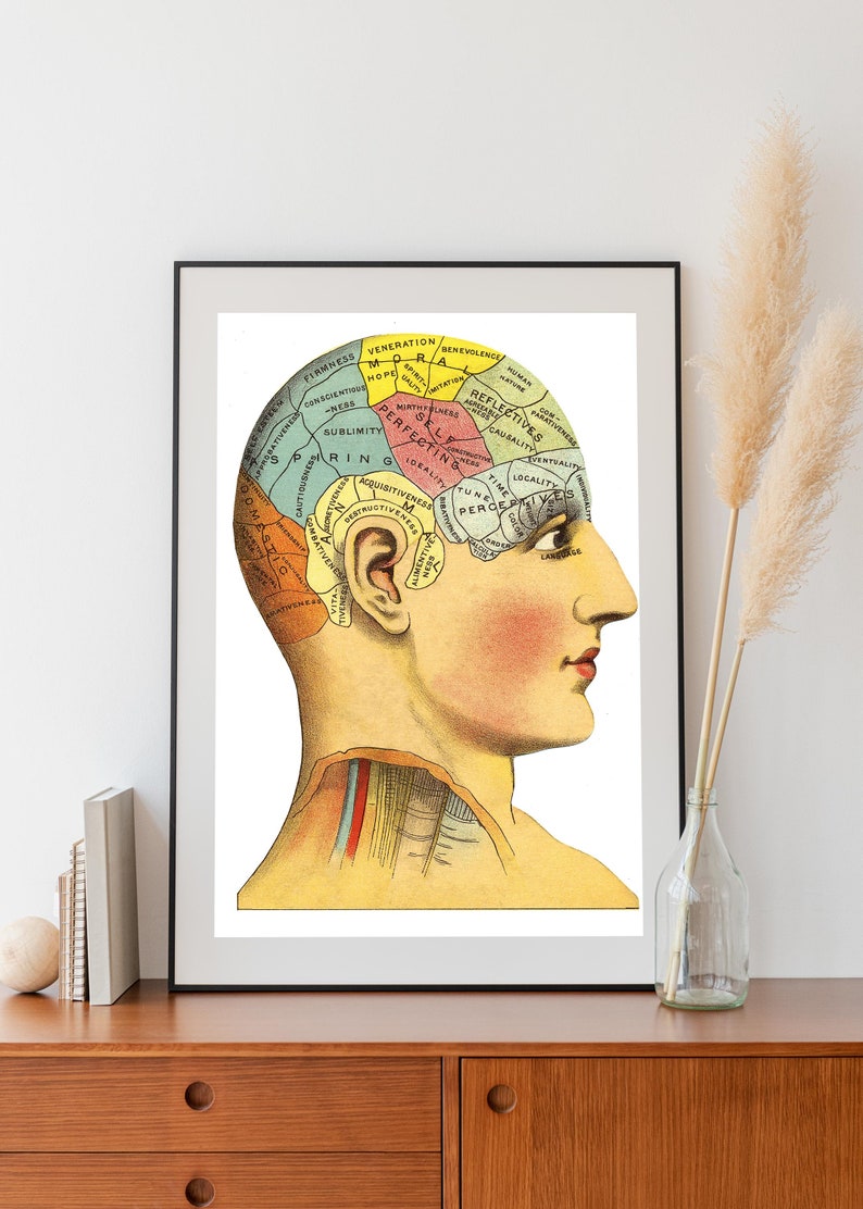 Antique PHRENOLOGY Print, HEAD | Printable Wall Art Science of the Mind ...