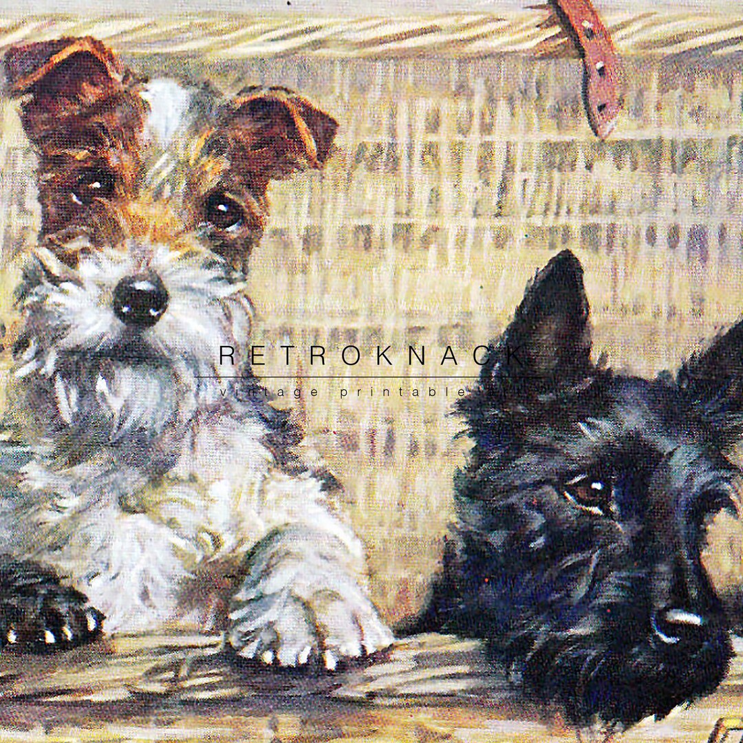 Fox & Scottish Terriers in A Basket CUTEST Printable Wall Art | Vintage ...