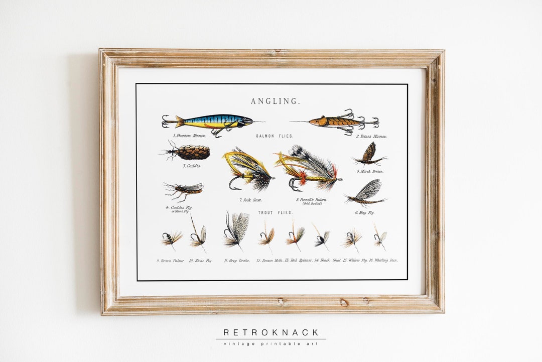 Fishing Lures Print | Printable Wall Art | Fishing Gifts | Fly Fishing ...