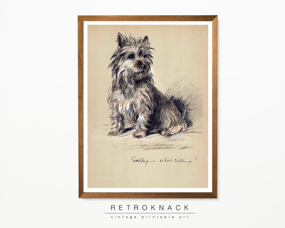 Cairn Terrier Print Sketch | Dog Printable Wall Art | Lucy Dawson Art ...