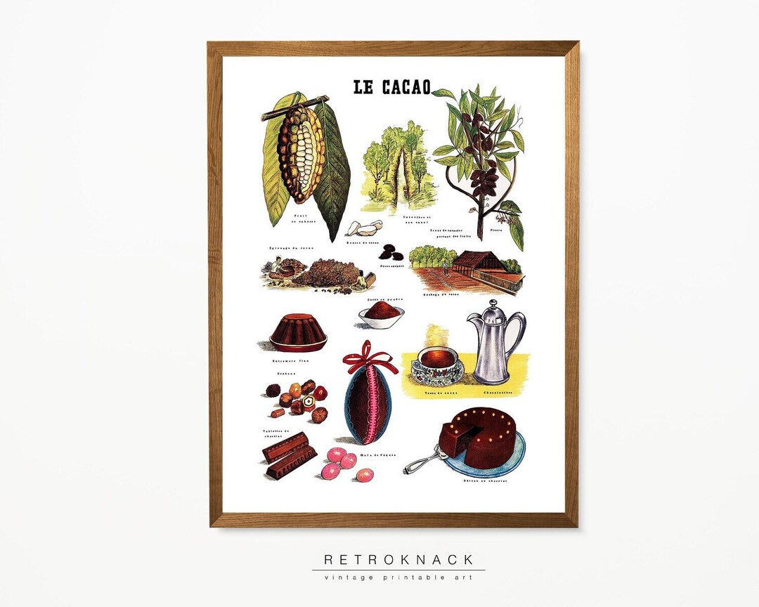 CACAO Plant Poster | Printable Wall Art | Kitchen Decor | Vintage ...