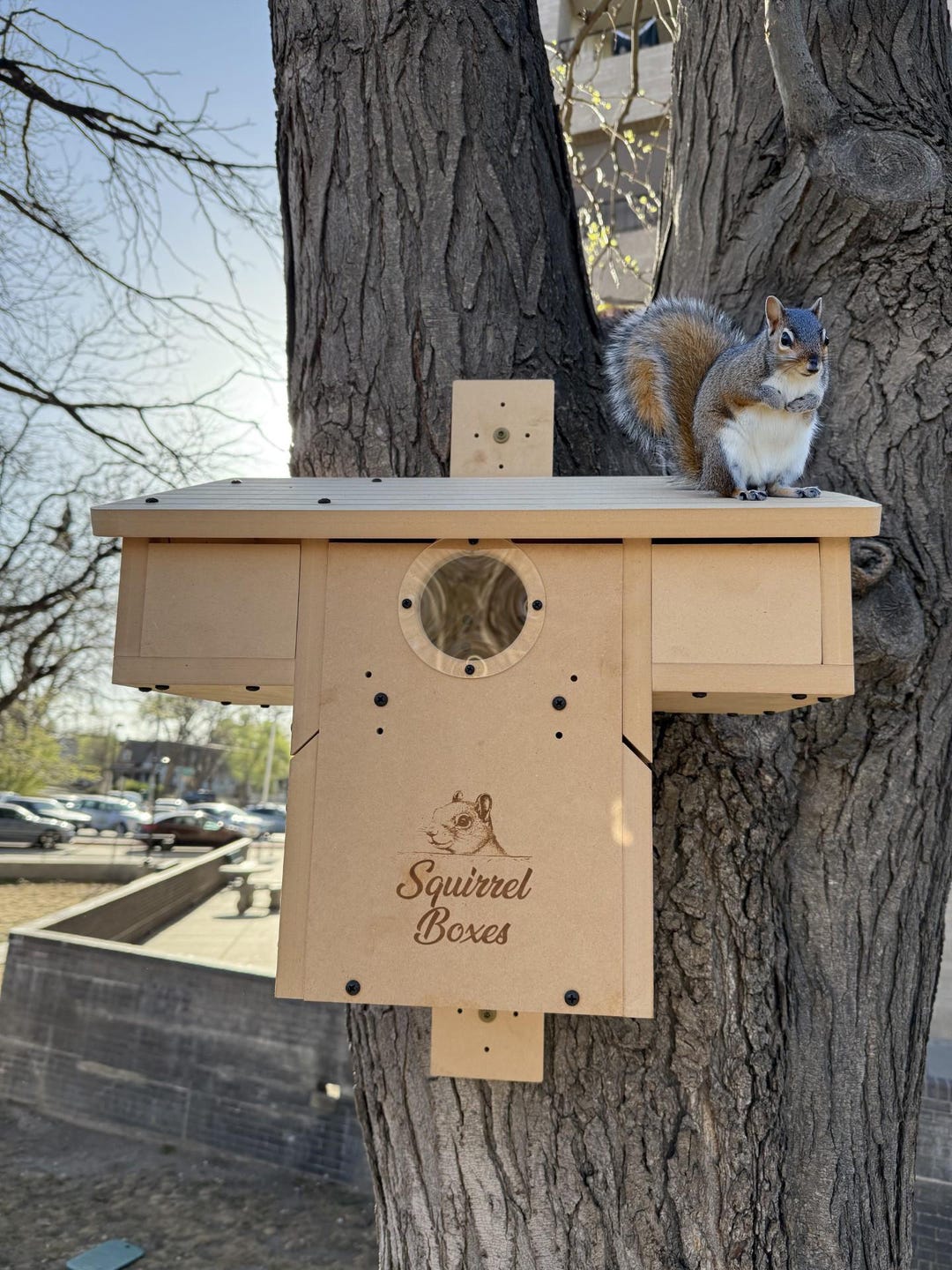Twin Tails Lodge Squirrel Nesting Box: Composite, Dual Entrance ...