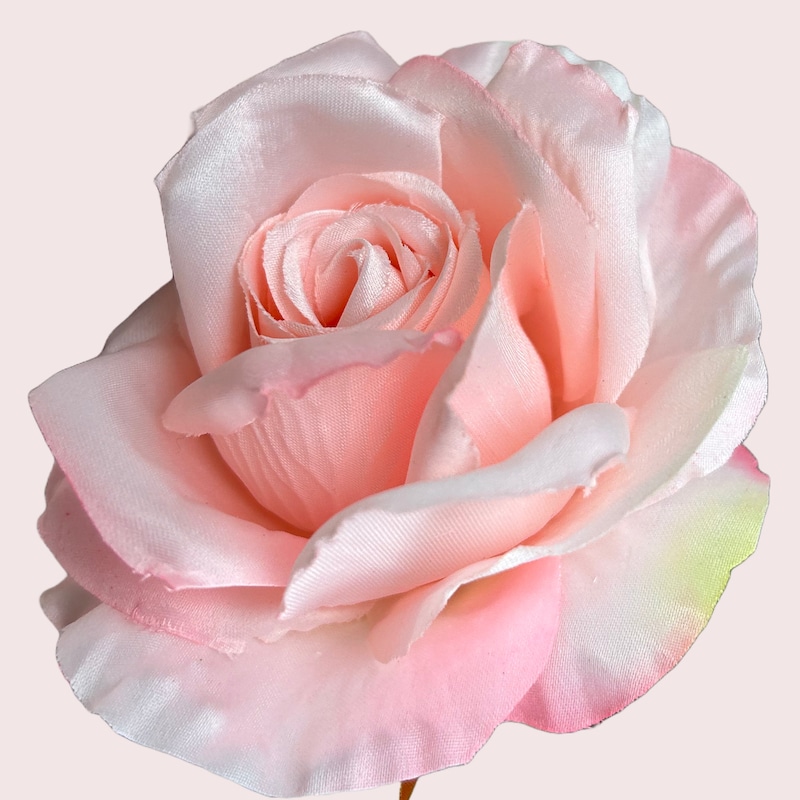 Pink Rose - Etsy