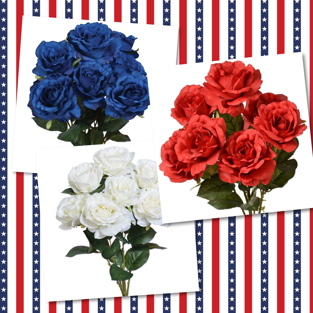 New Red, White or Blue Roses, Patriotic Roses, Roses for Independence ...