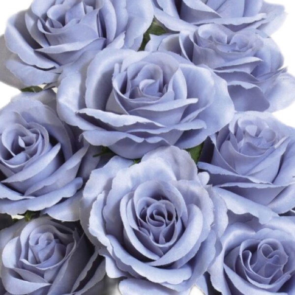 Dusty Blue Rose - Etsy