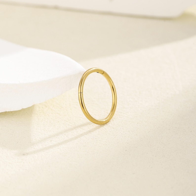 20G/18G/16G Titanium Clicker Hoop Earring, Hinged Segment Ring ...