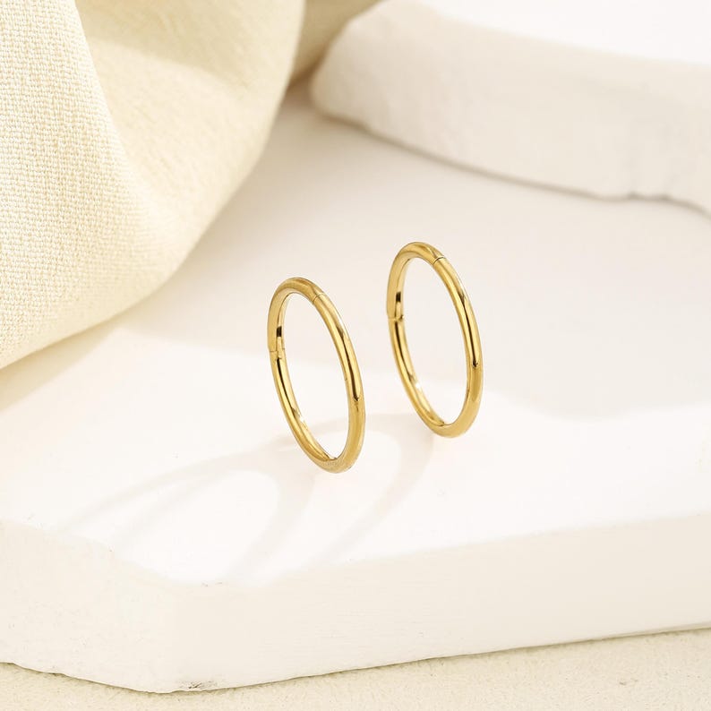 20G/18G/16G Titanium Clicker Hoop Earring, Hinged Segment Ring ...