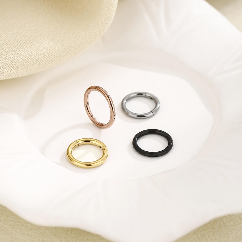 20G/18G/16G Titanium Clicker Hoop Earring, Hinged Segment Ring ...