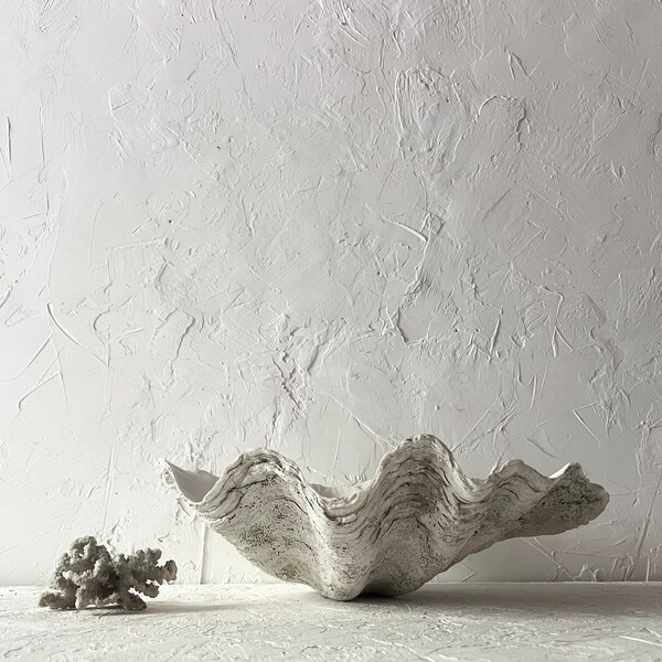 Clam Shell Planter - Etsy