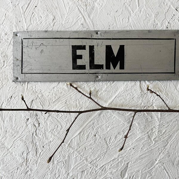 Elm Tree - Etsy