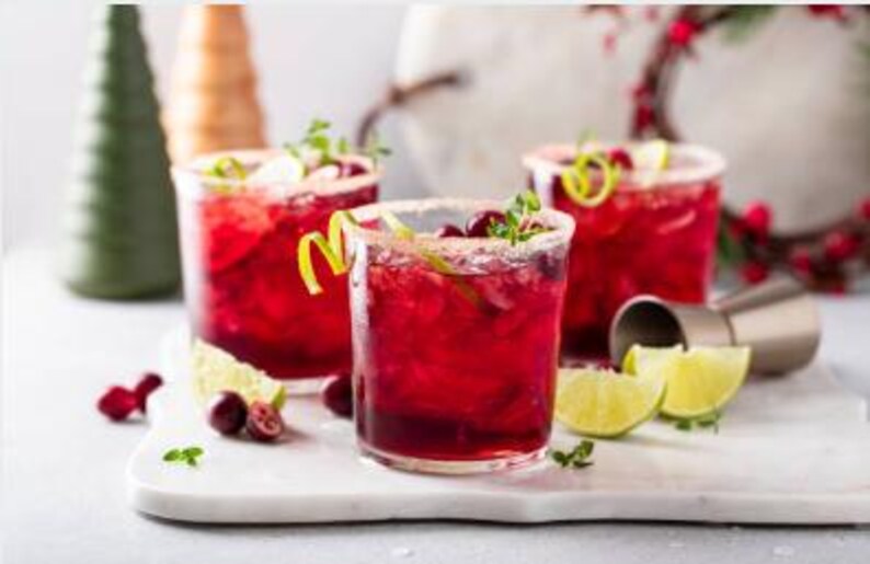 Holiday Cocktail Magic: Festive Recipes for Christmas, New Year’s, and ...
