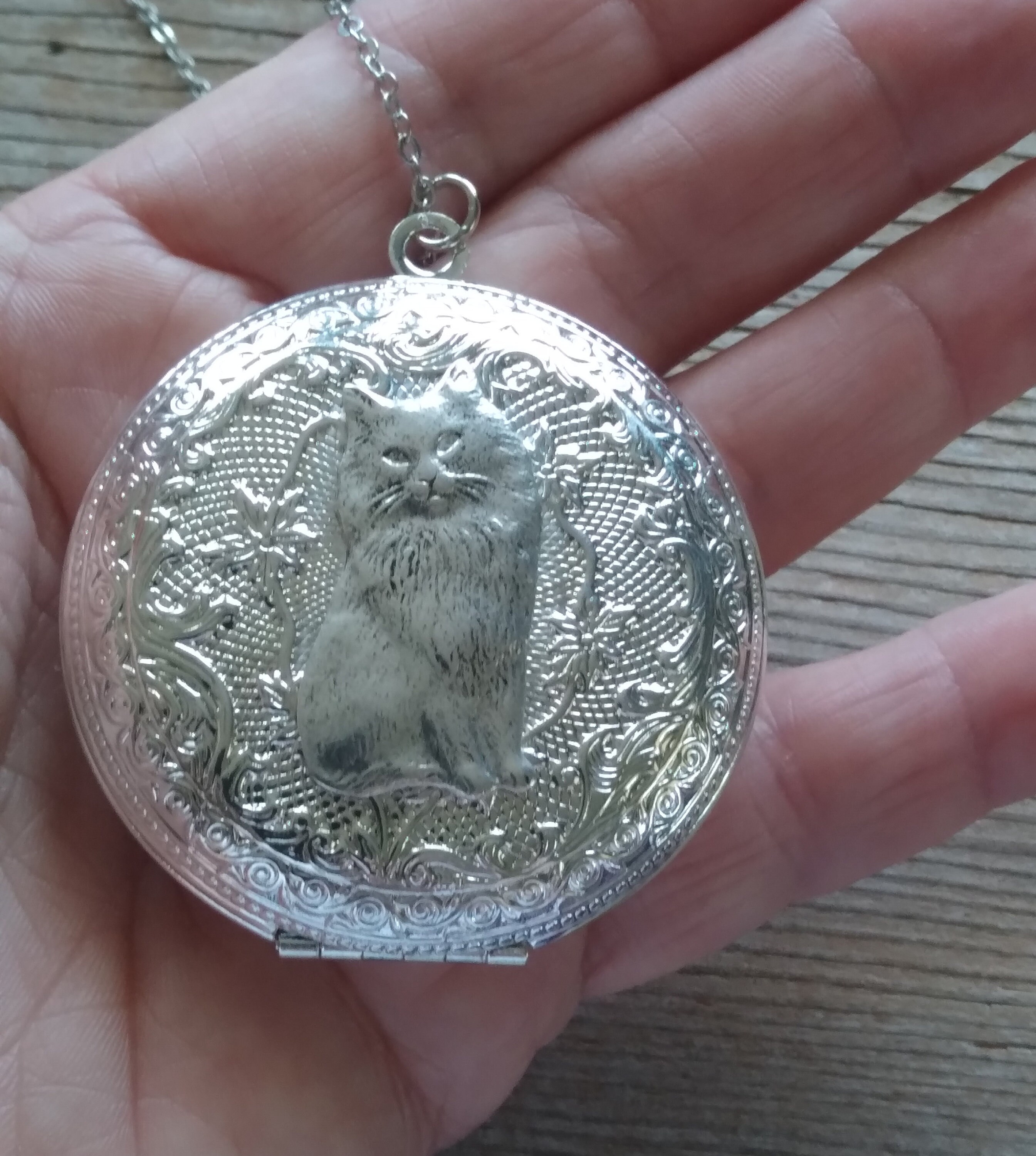 Huge Silver Cat Locket Art Nouveau Locket Embossed Victorian - Etsy Ireland