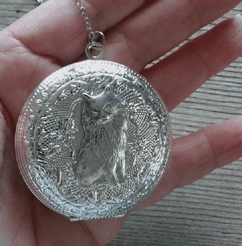 Huge Silver Cat Locket Art Nouveau Locket Embossed Victorian - Etsy Ireland