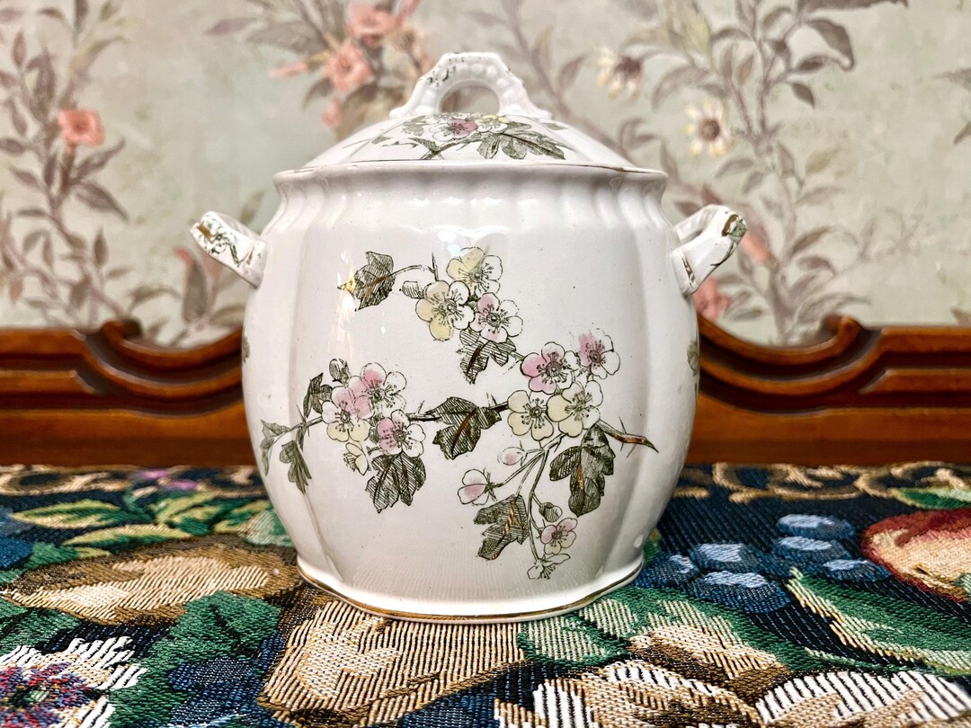 T. Furnival & Sons Porcelain Lidded Sugar Bowl: Hawthorn Blossom ...