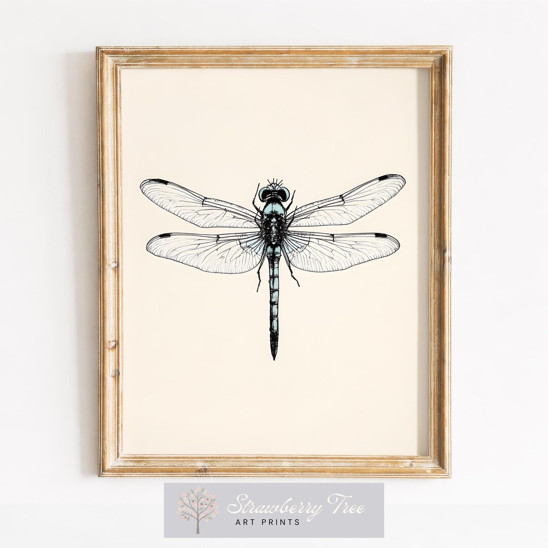 Dragonfly Pen and Ink Sketch - Vintage Botanical Art, Neutral ...