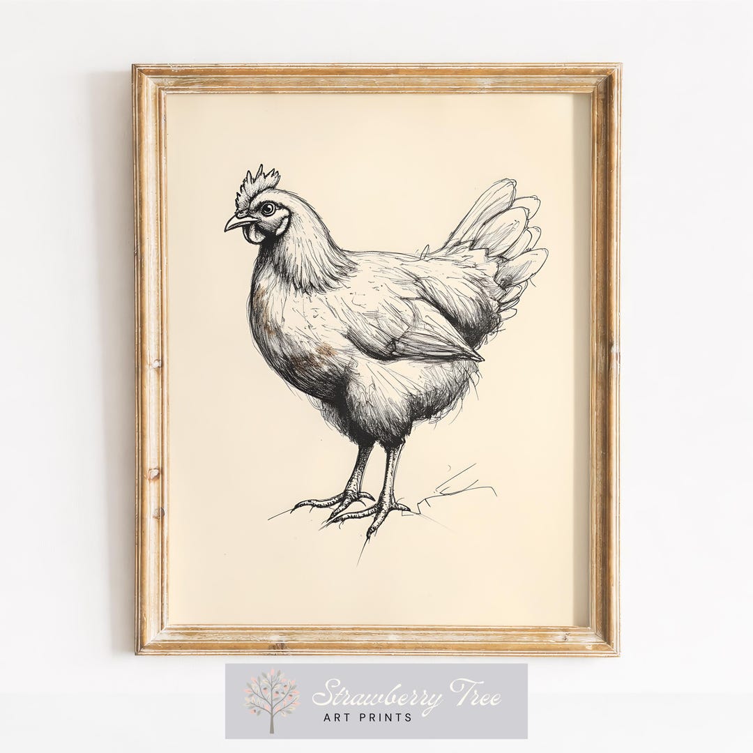 Farmhouse Hen Pen and Ink Sketch - Rustic Vintage Chicken Art, Neutral ...