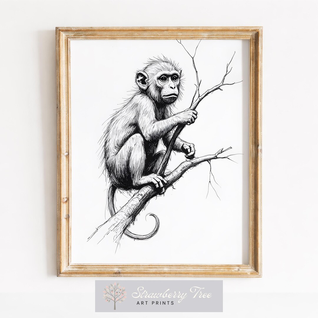 Monochrome Monkey Sketch on Branch - Pen-and-ink Drawing, Vintage Wall ...