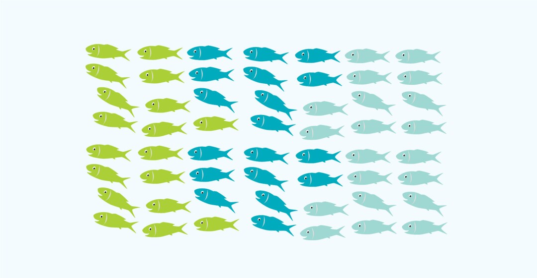 Wall Decals - Fish Decal - Vinyl Wall Decal - Nursery Decal - School of ...