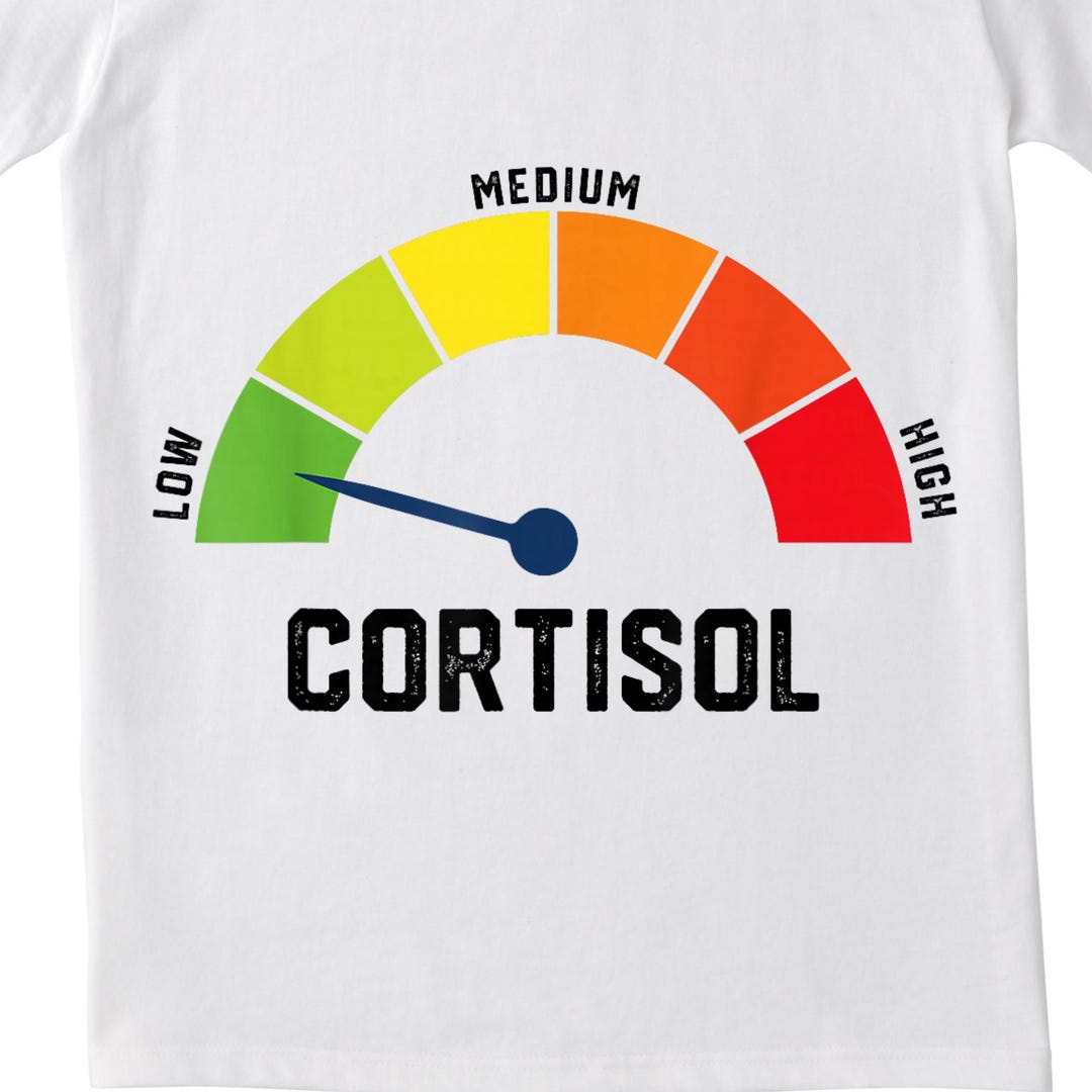 Cortisol Stress Meter Meme PNG: Funny Sarcastic Anxiety Humor (digital ...