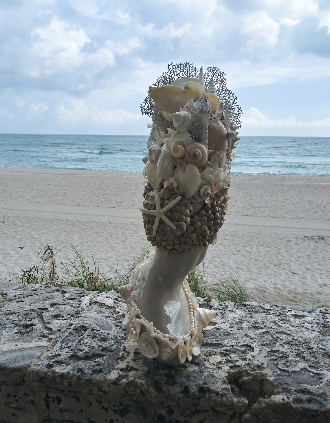 Venus, Goddess of the Sea With Natural Shells - Etsy