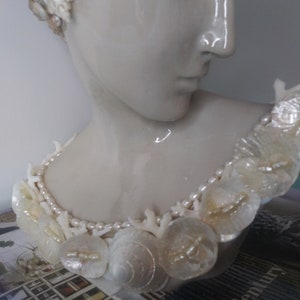 Venus, Goddess of the Sea With Natural Shells - Etsy