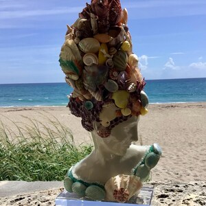 Venus, Goddess of the Sea With Natural Shells COLOR - Etsy