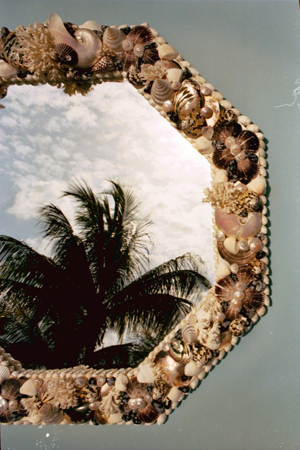 Octagonal Sea Shell Mirror in Black and White - Etsy