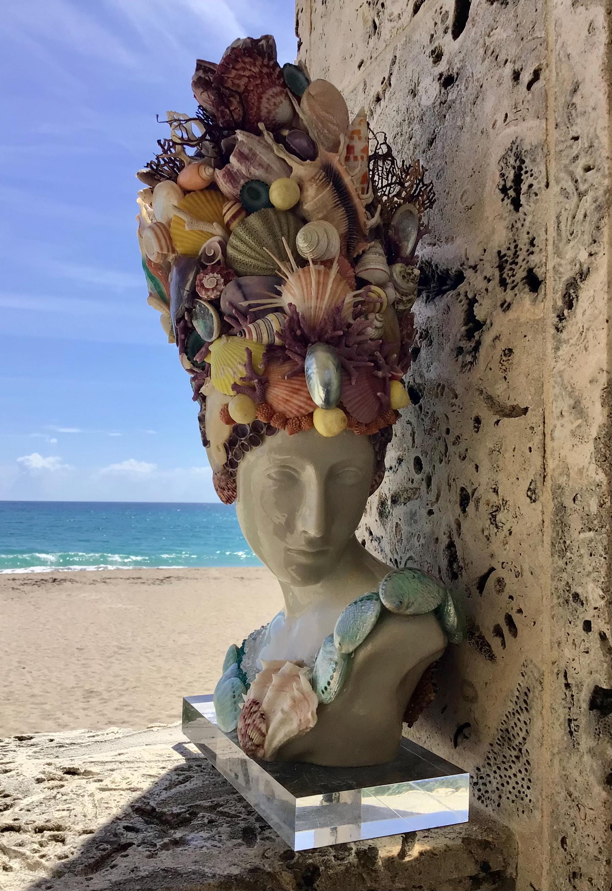 Venus, Goddess of the Sea With Natural Shells COLOR - Etsy