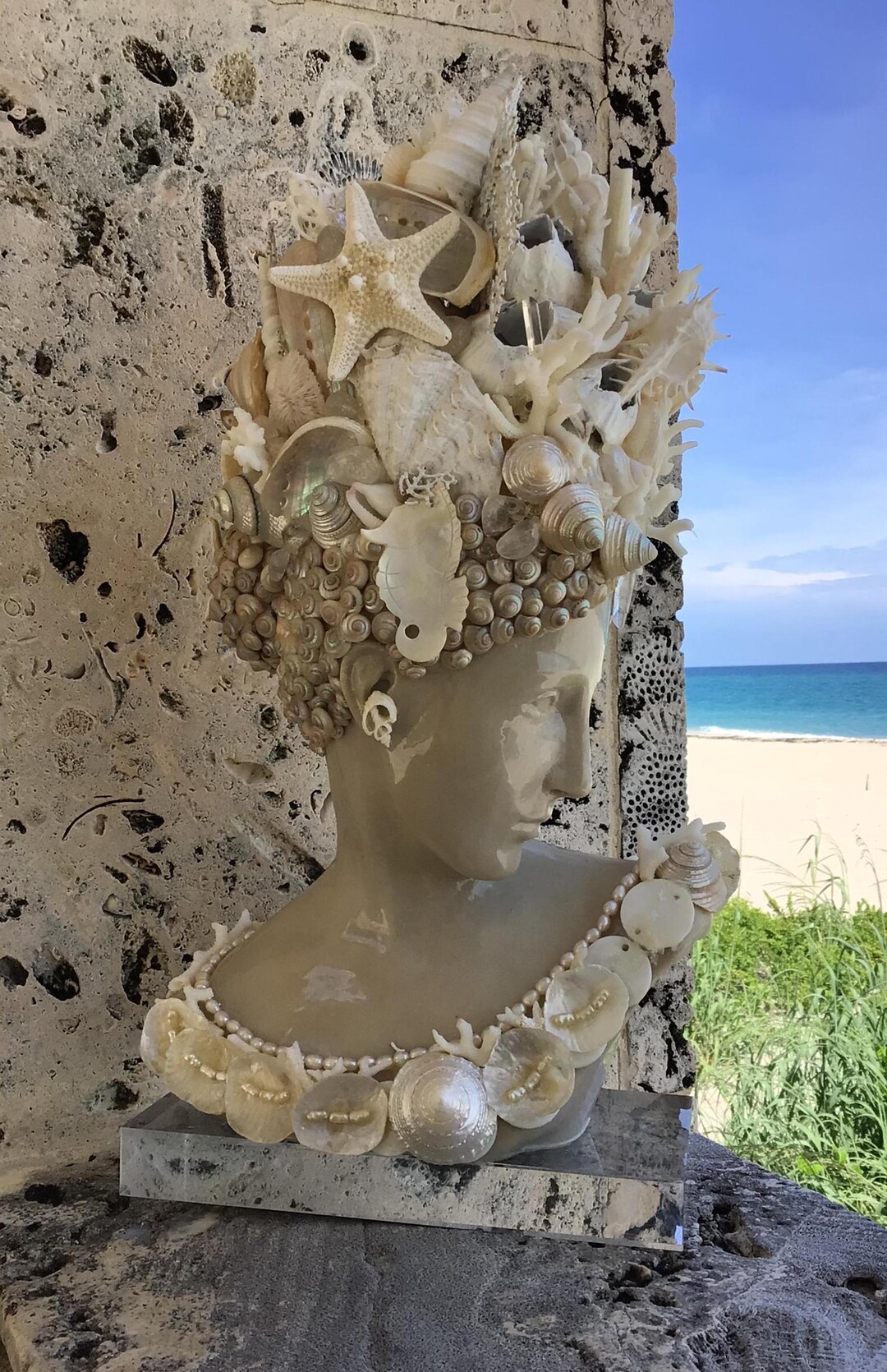 Venus, Goddess of the Sea With Natural Shells WHITE - Etsy