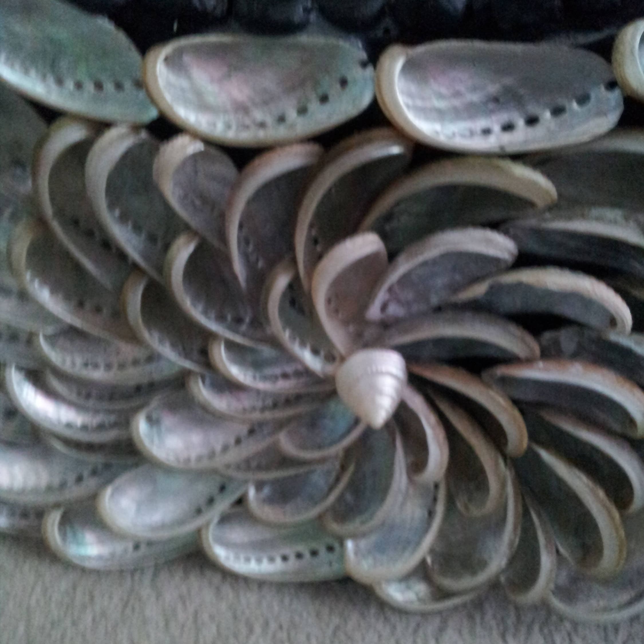 CONTEMPORARY Abalone Sea Shell Frame With an Antique Glass Mirror - Etsy