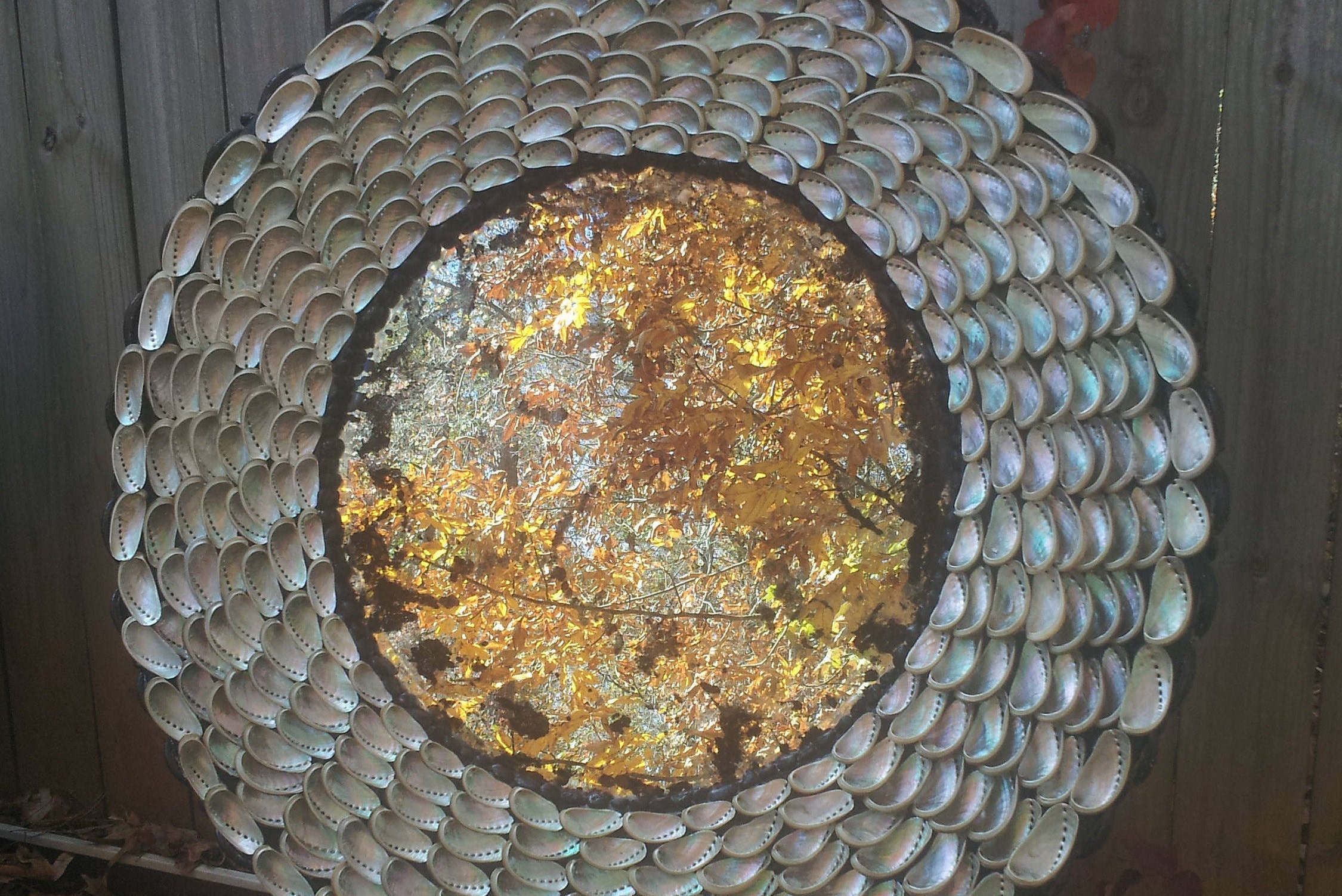 CONTEMPORARY Abalone Sea Shell Frame With an Antique Glass Mirror - Etsy