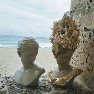 Venus, Goddess of the Sea With Natural Shells WHITE - Etsy