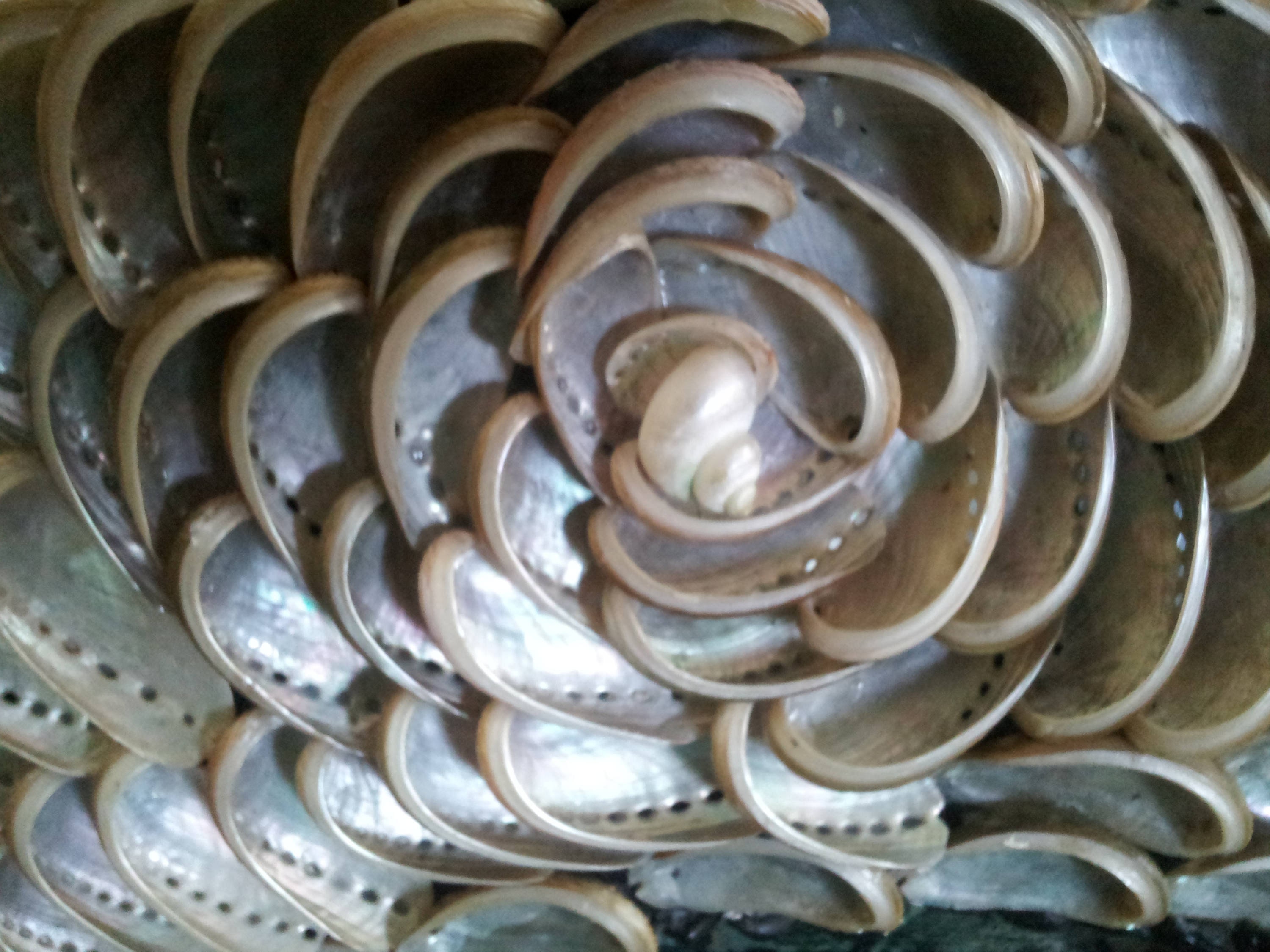 CONTEMPORARY Abalone Sea Shell Frame With an Antique Glass Mirror - Etsy