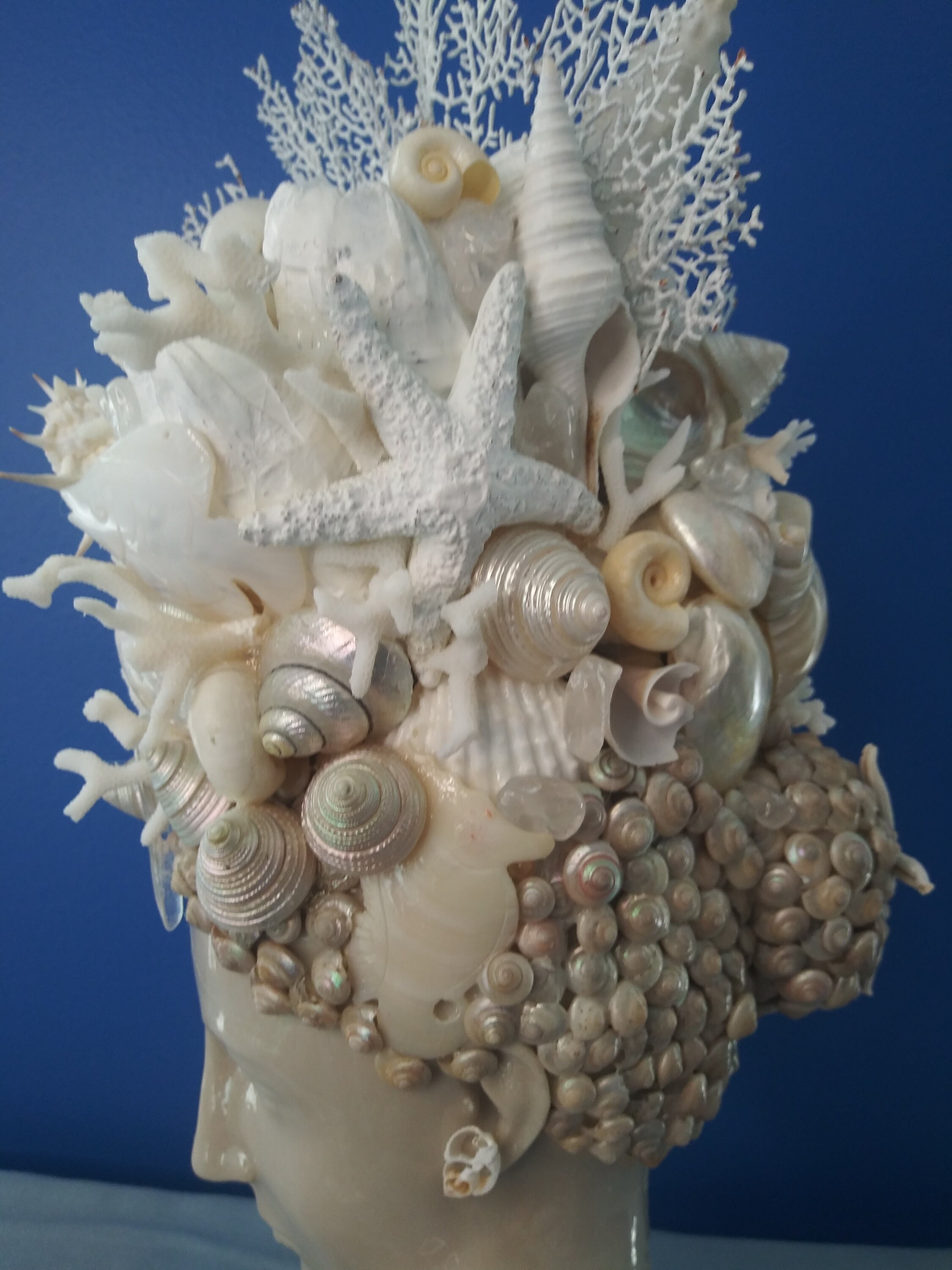 Venus, Goddess of the Sea With Natural Shells WHITE - Etsy